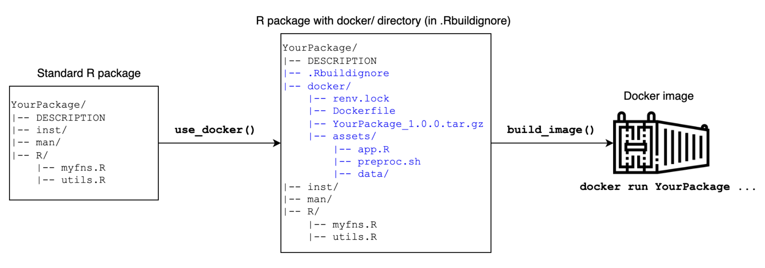 R package development in Positron - by Stephen Turner