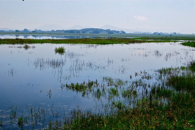 The Meteoric Rise and Fall of the Aztec Empire