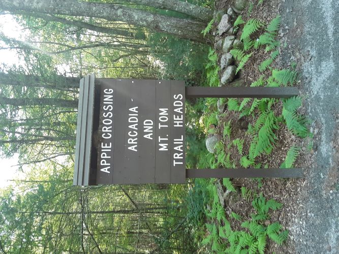 Hiking Arcadia Management Area in Rhode Island - by Sharon