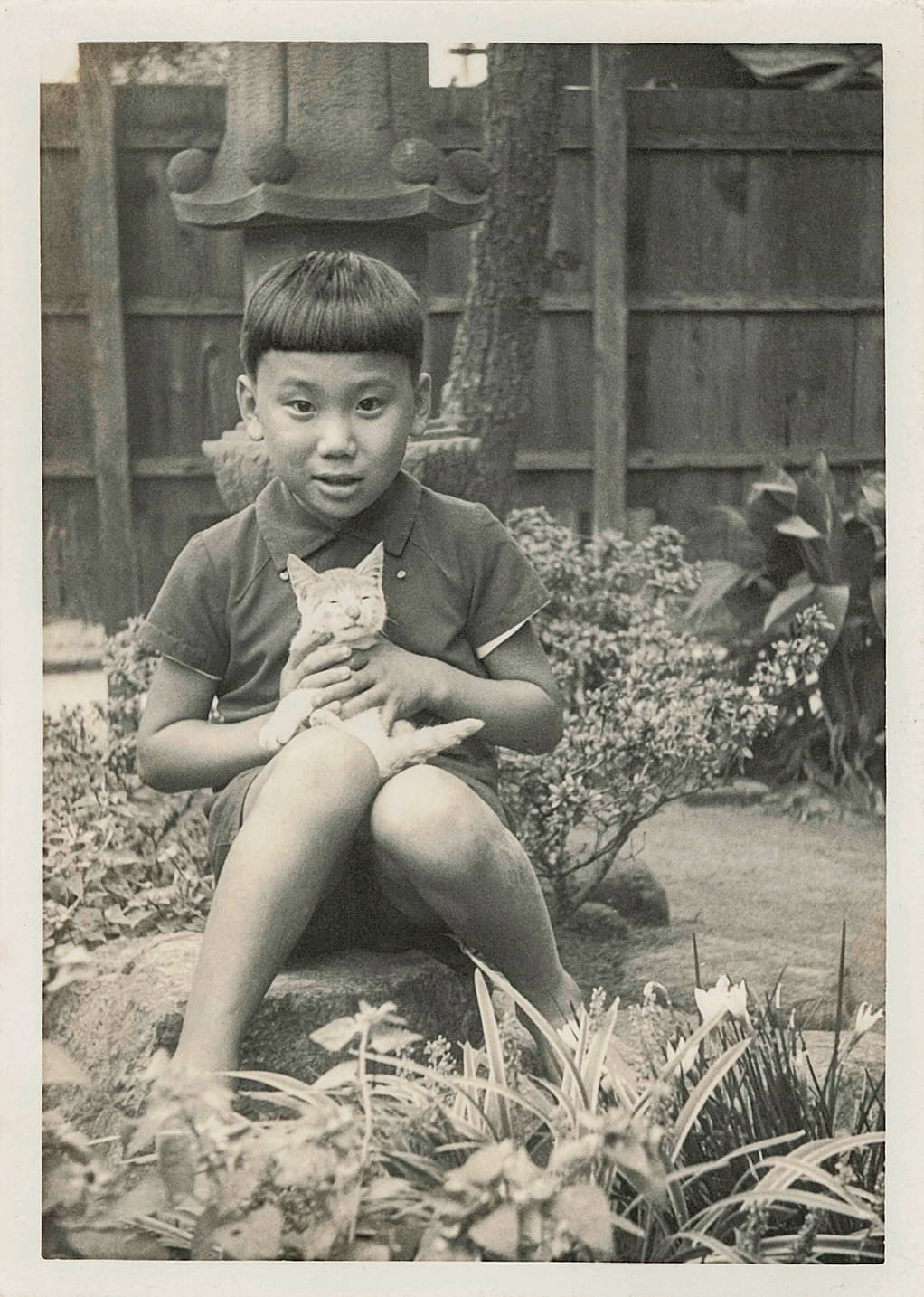 Haruki Murakami's "Peter Cat" - by Bailey Richardson