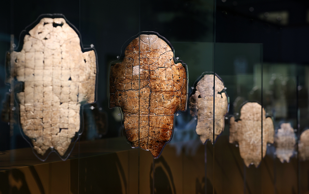 How the oracle bone inscriptions amaze the world?