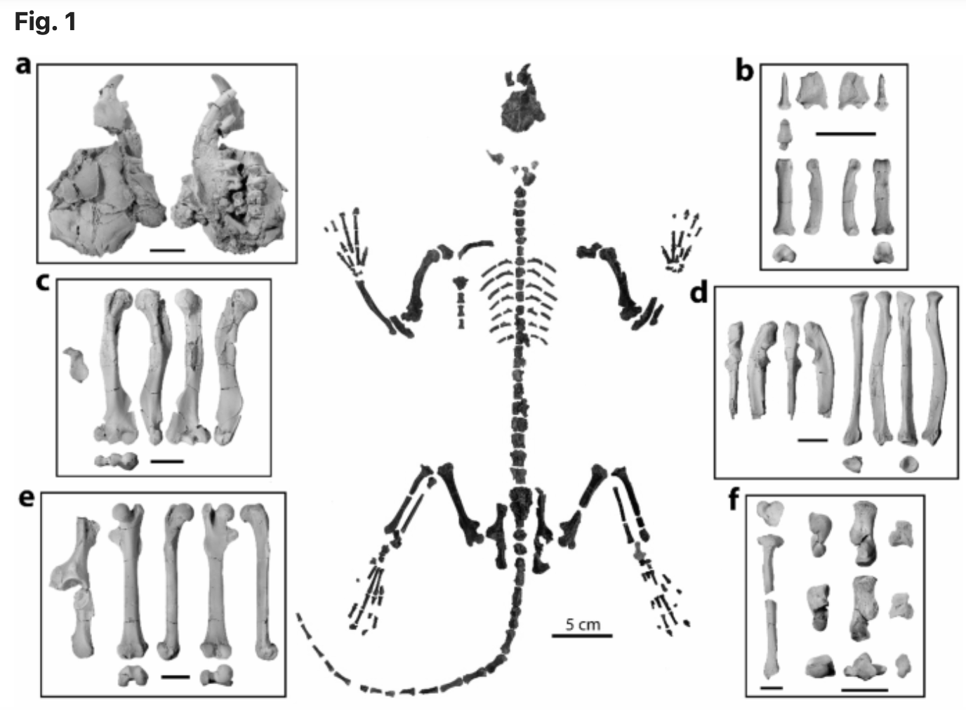 National parks see record numbers; Trump wants to keep it quiet