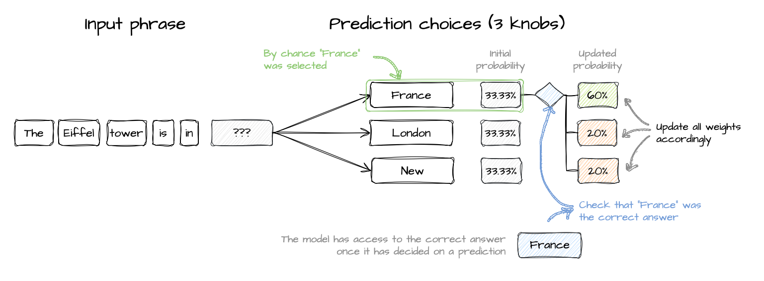 How LLMs Learn: From Tokens to Training