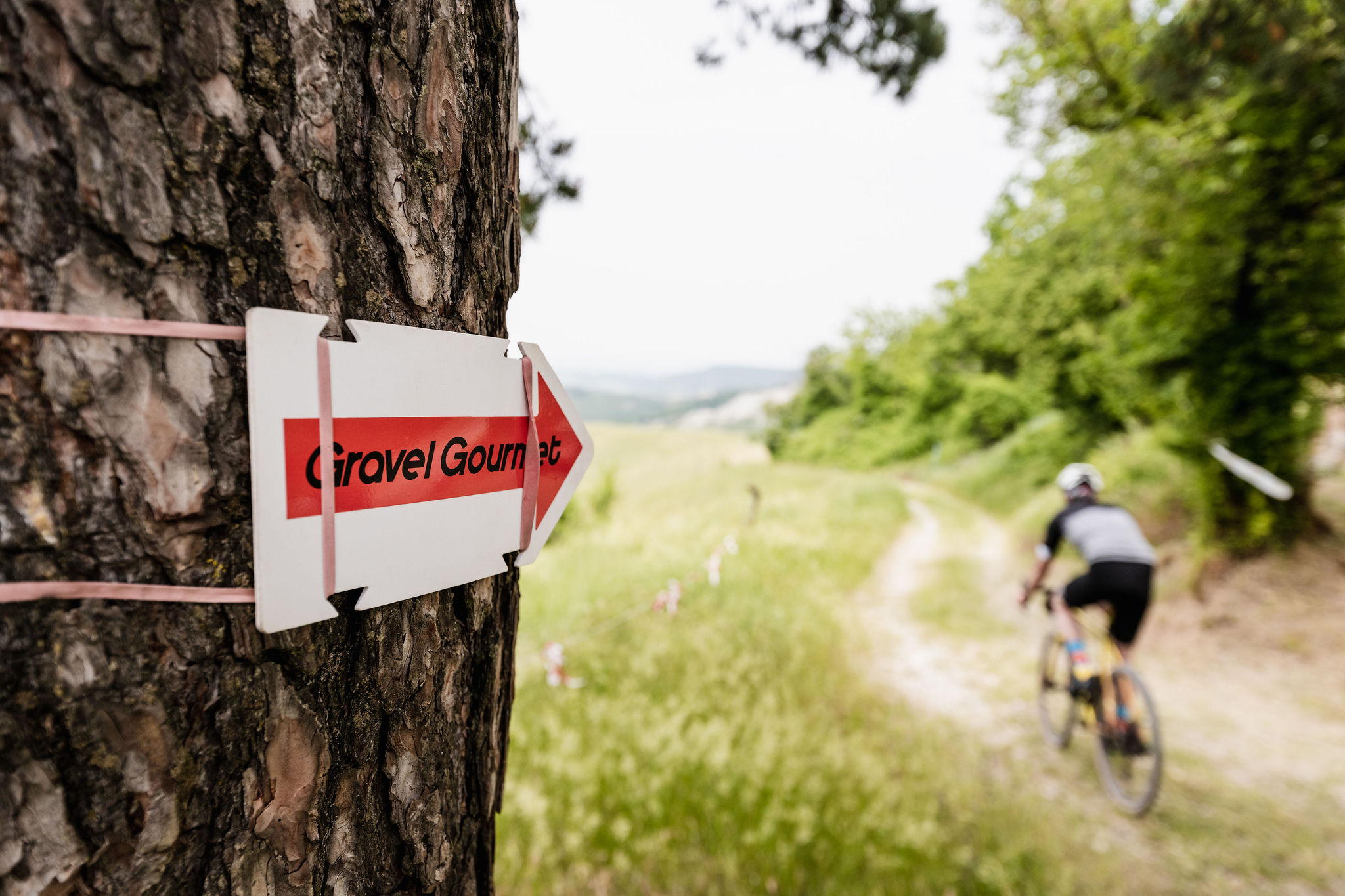 Gravel Gourmet torna il 4-5 ottobre: cicloturismo e sapori d’autunno ...