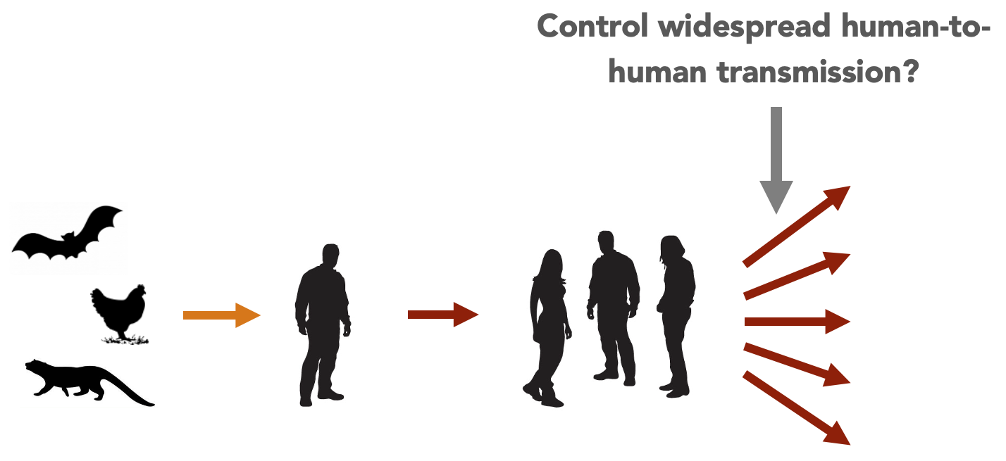 What is the best way to stop a pandemic?