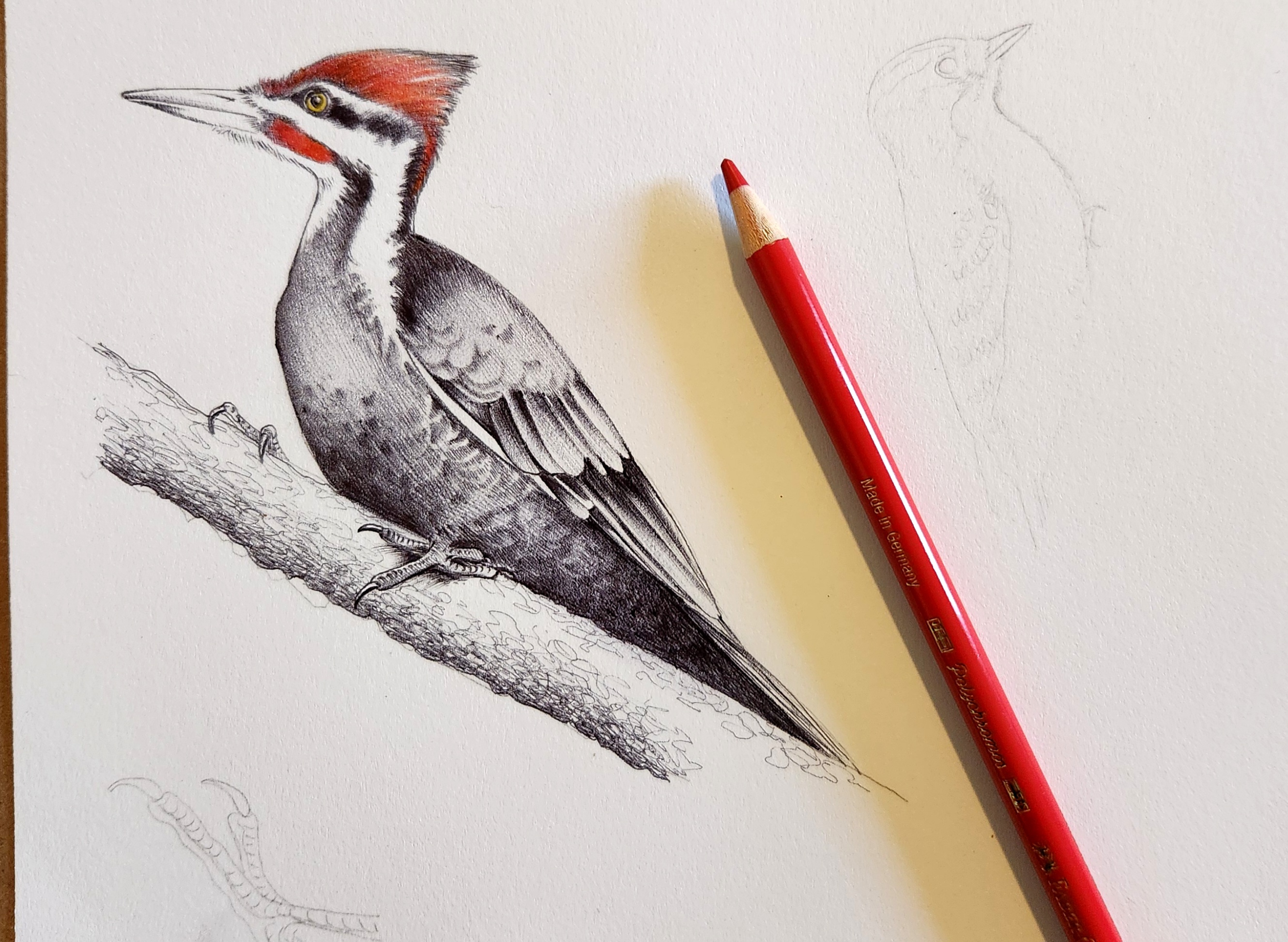 Val Webb (@valwebb): "New video lesson posting Monday: we’ll draw the ...