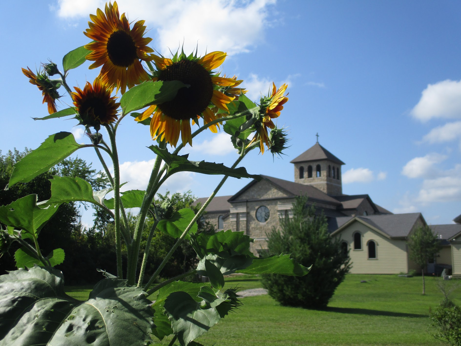 Hidden Within the Mystical Body: An Interview with the Benedictines of ...