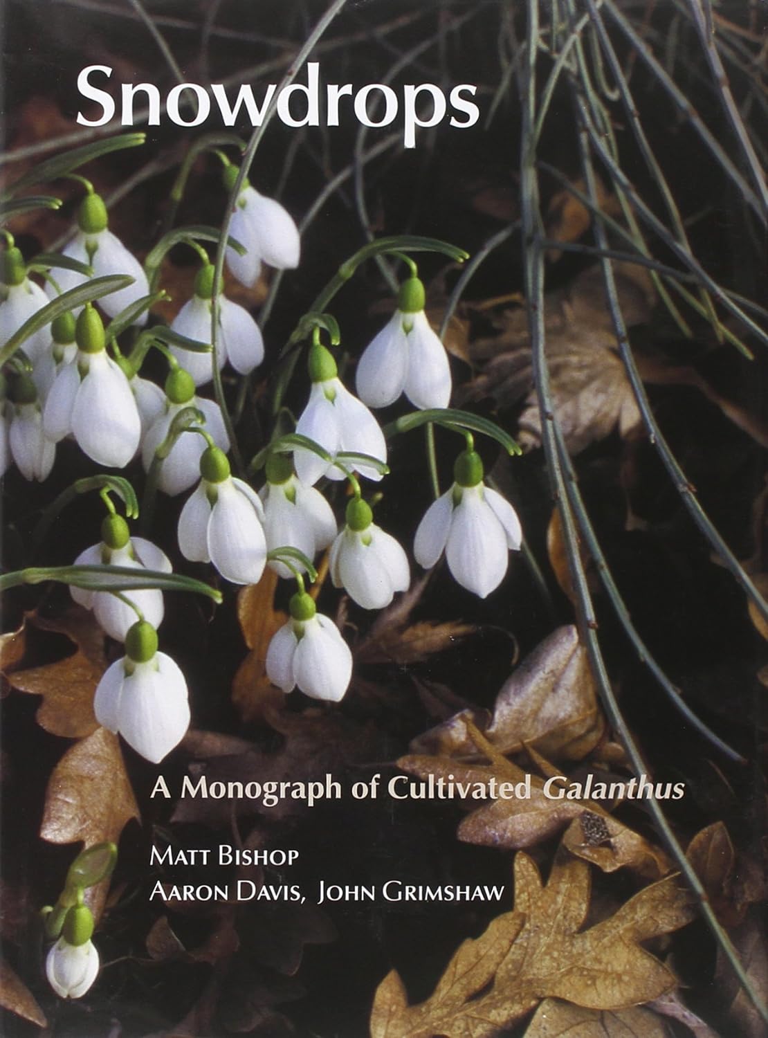 Shakespeare's Snowdrops: Galanthus Bred by Heyrick Greatorex