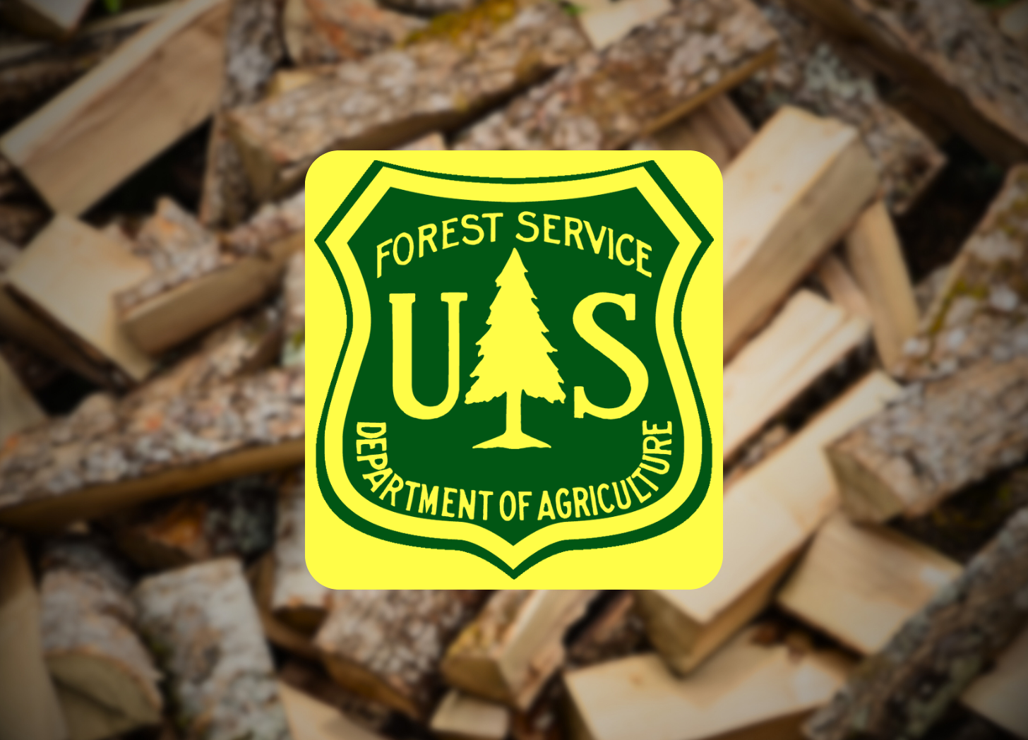 Forest Service Launches Online Firewood Permits for Idahoans