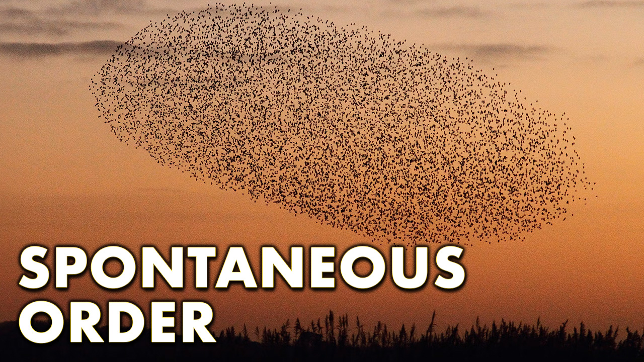 A Brief Introduction to Spontaneous Order