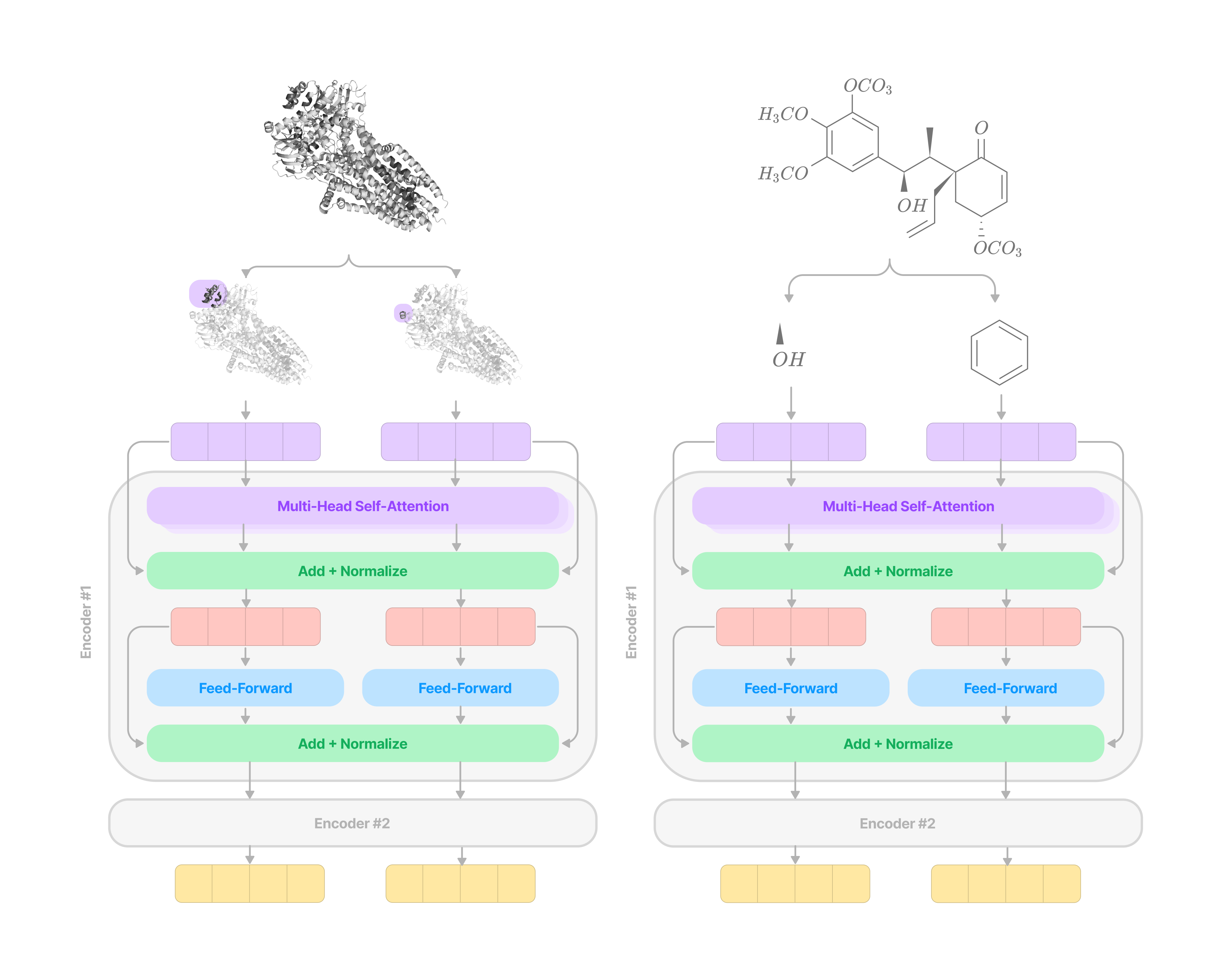 MolTrans: Transformers for Drug-Target Interaction Prediction