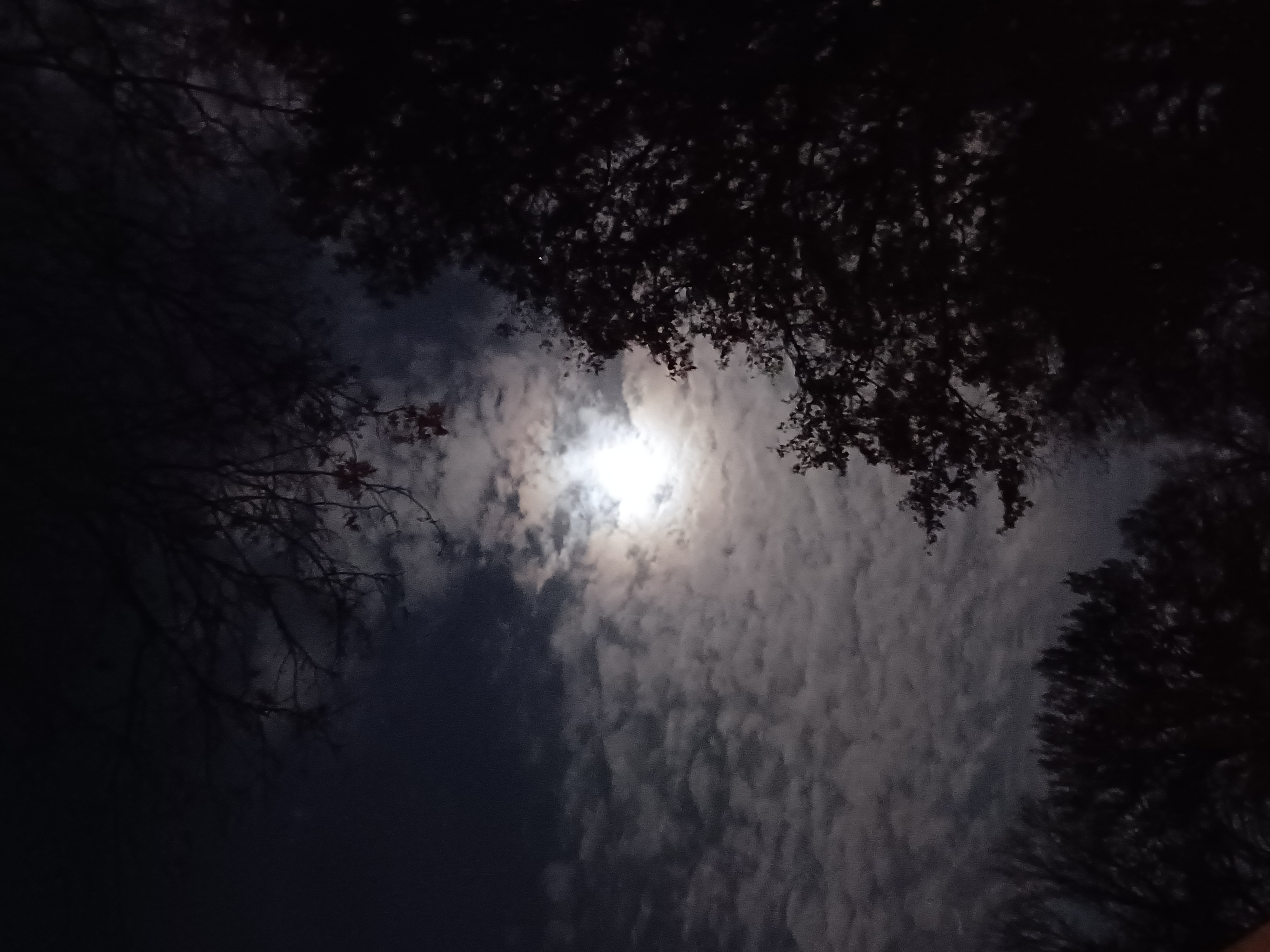 The Mourning Moon - Sarah Kendzior’s Newsletter