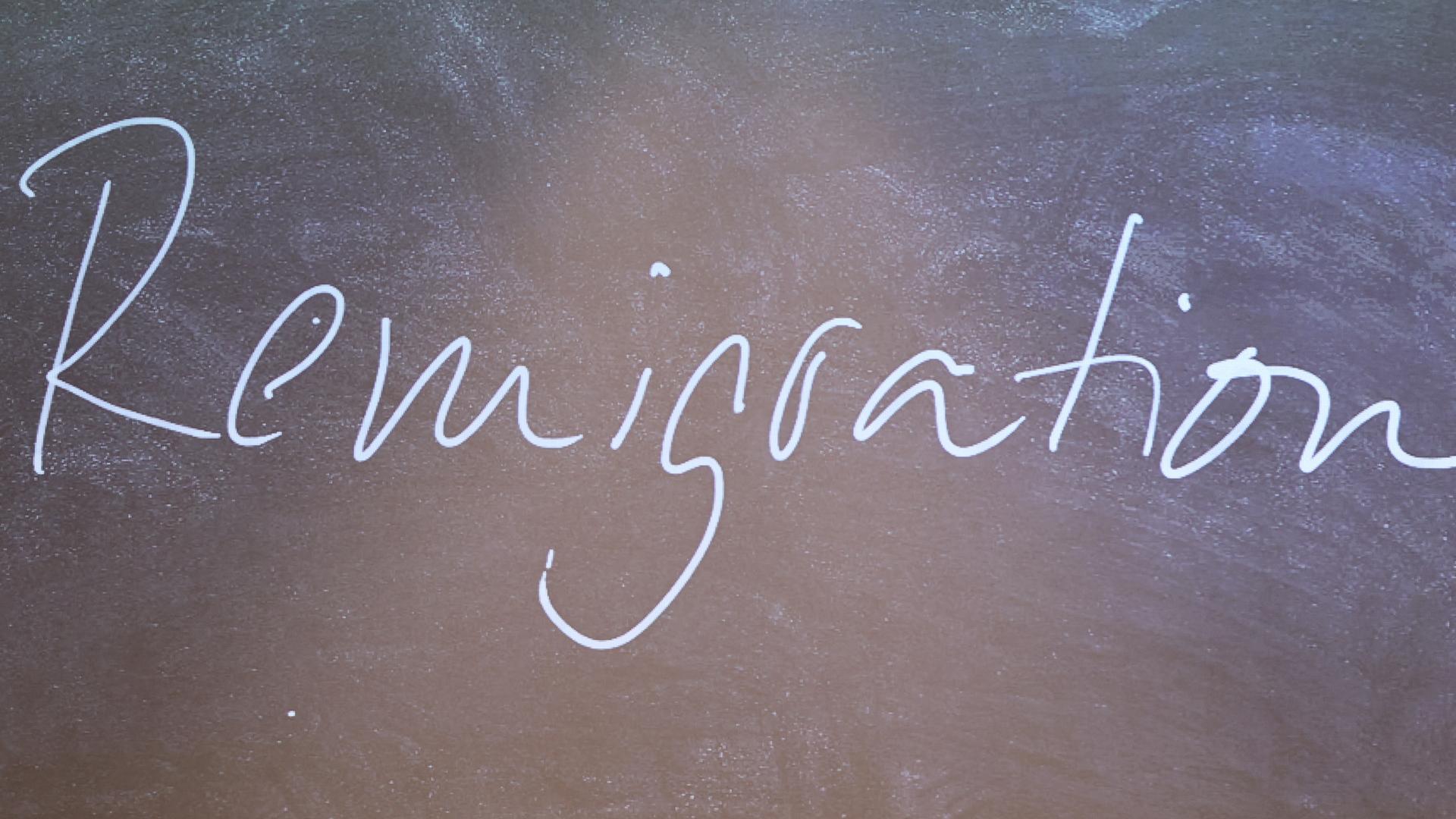 A Practical Plan for Mass Remigration – Arktos