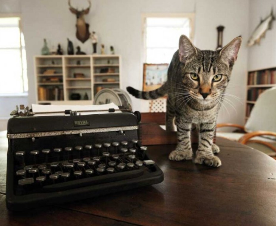 Literary Locations: Ernest Hemingway's Key West - by Kate