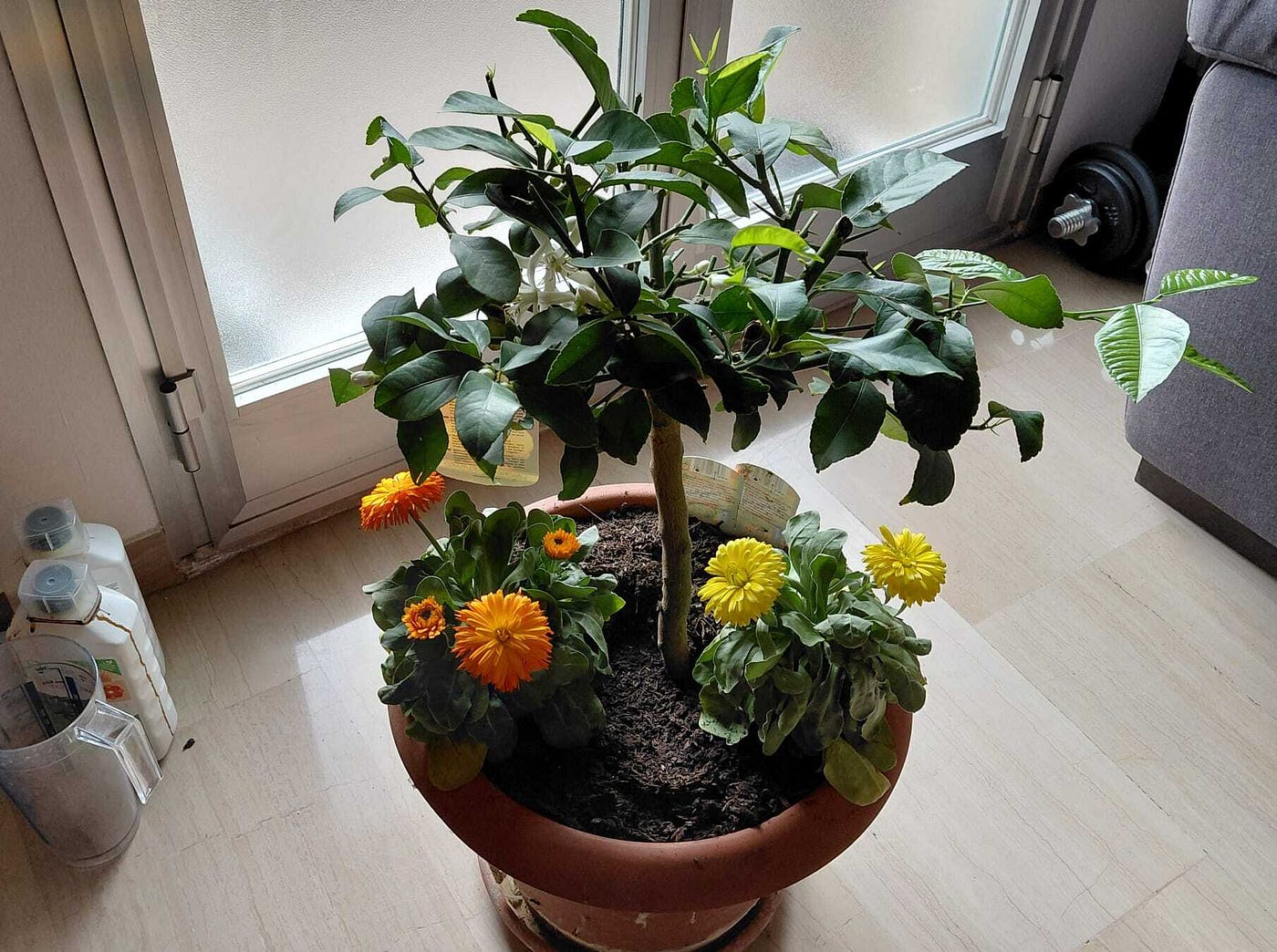 Plastic in Paradise: My Year of (Un)intentional Frugality - The Good ...