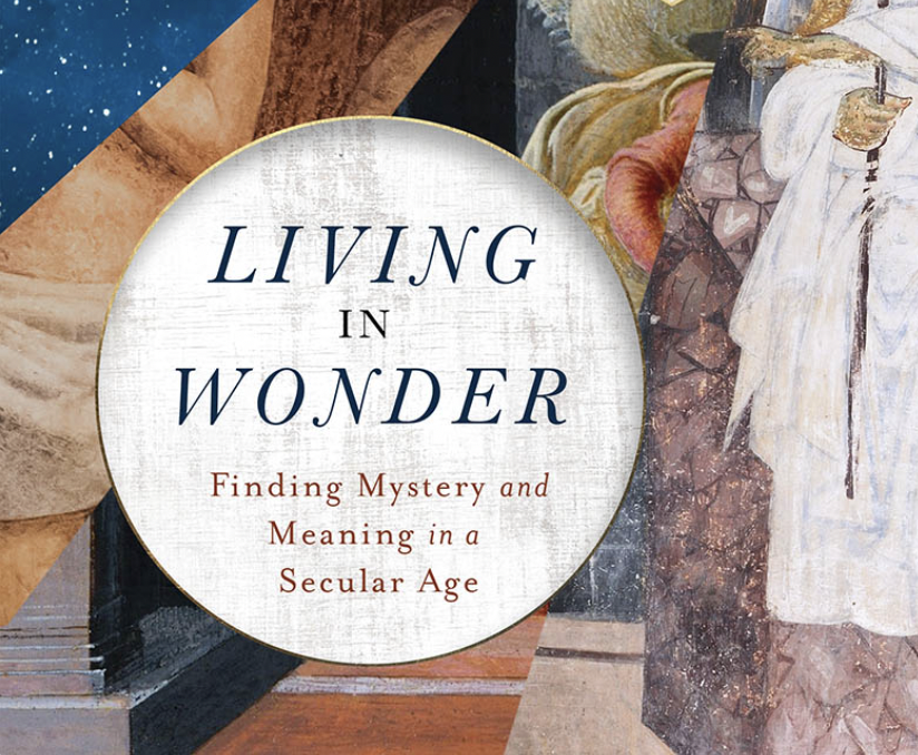 The Urgency Of 'Living In Wonder' - Rod Dreher's Diary