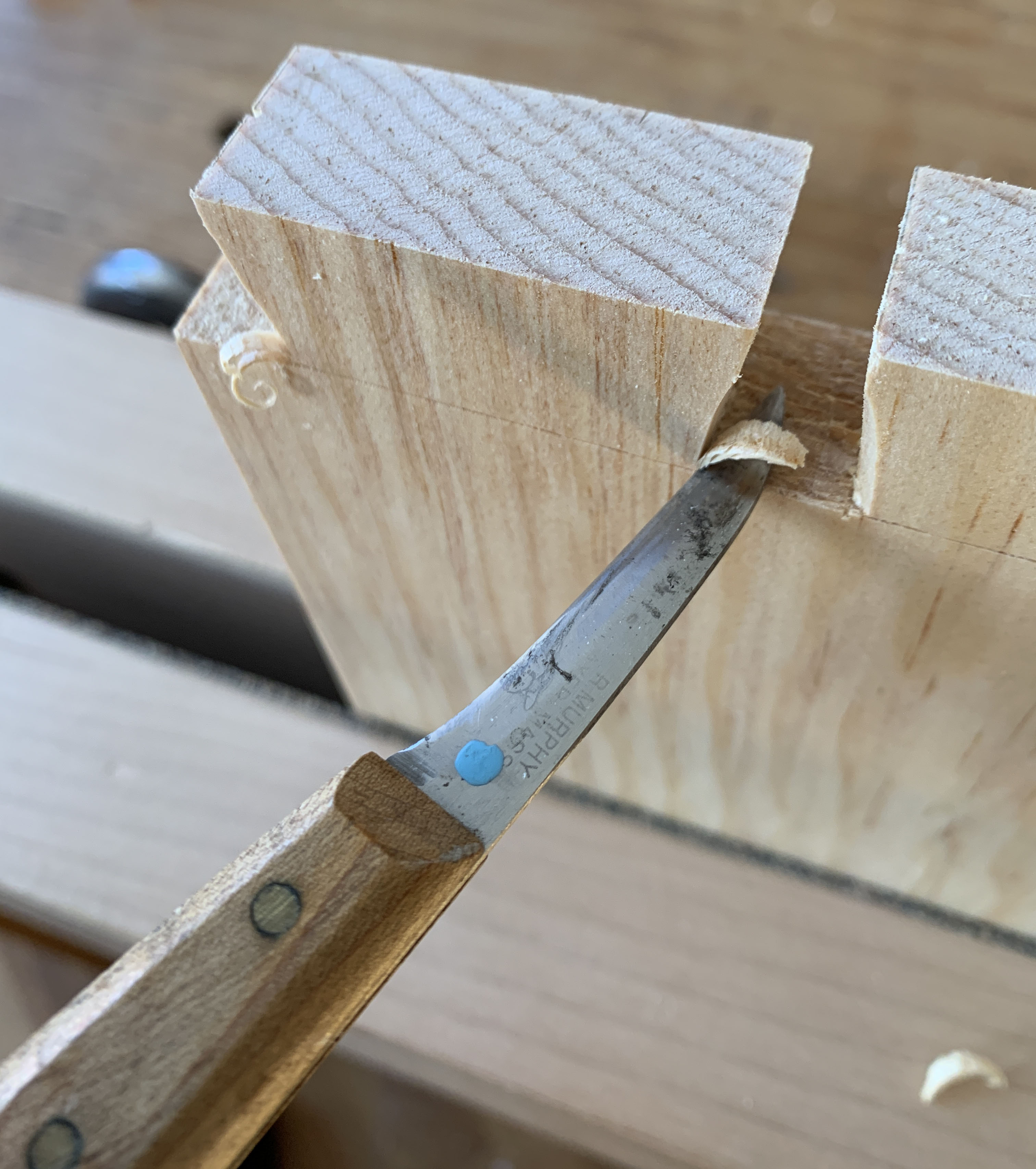 R. Murphy Carving & Dental Lab Knife - by Megan Fitzpatrick