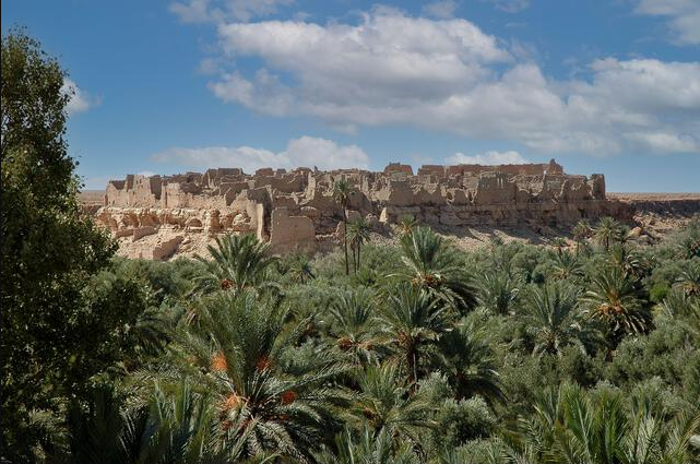 Historic links between the Maghreb and West Africa: On the Sanusiyya ...