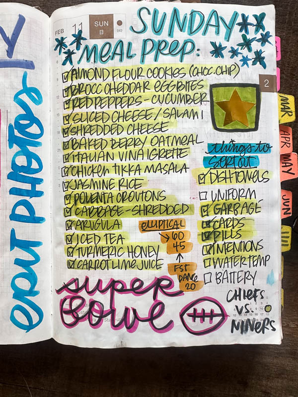 Hobonichi Daily Pages 2024 - by Tracy Benjamin