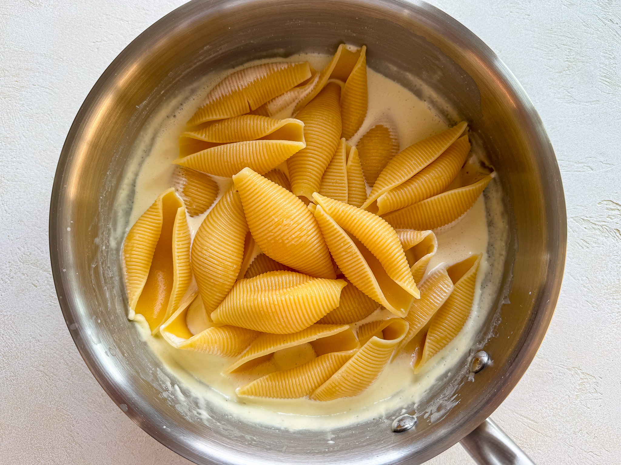 very cheesy, sorta fancy big shells - by Meryl Feinstein