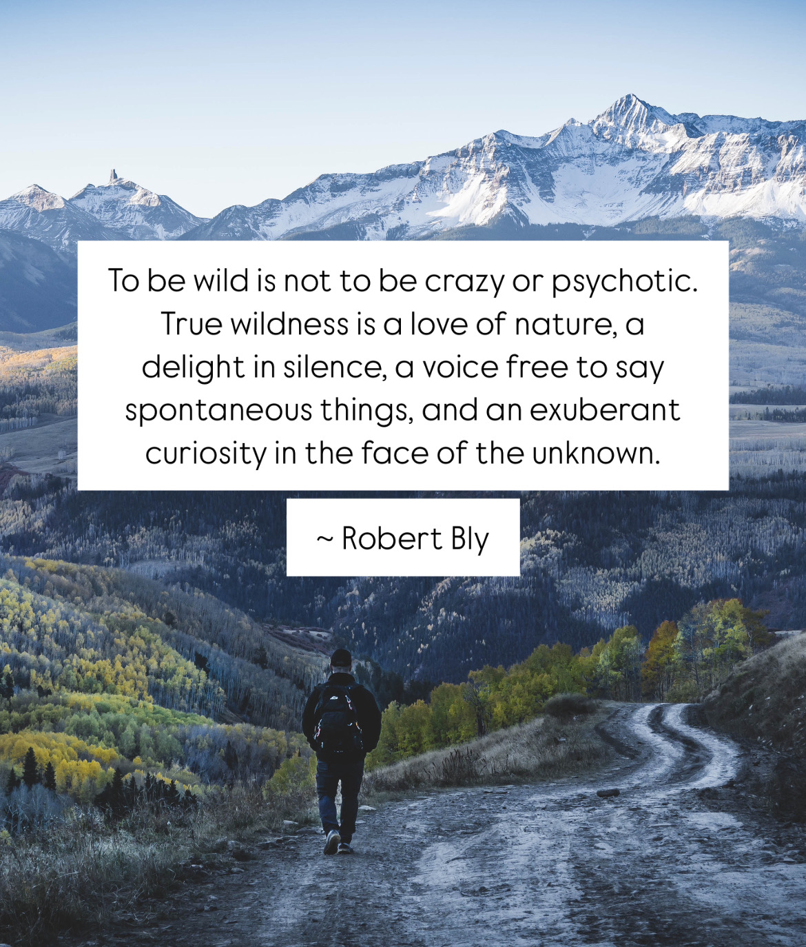 Poetic Outlaws on Substack: