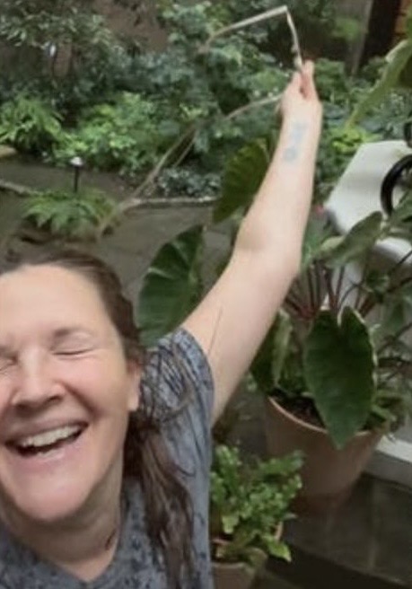 Kyle Raymond Fitzpatrick on Substack: "not reading the new Sally Rooney"