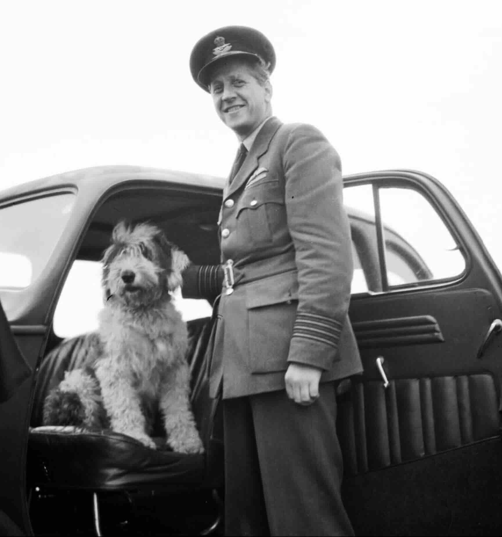 Operation Jericho - by Martin Cherrett