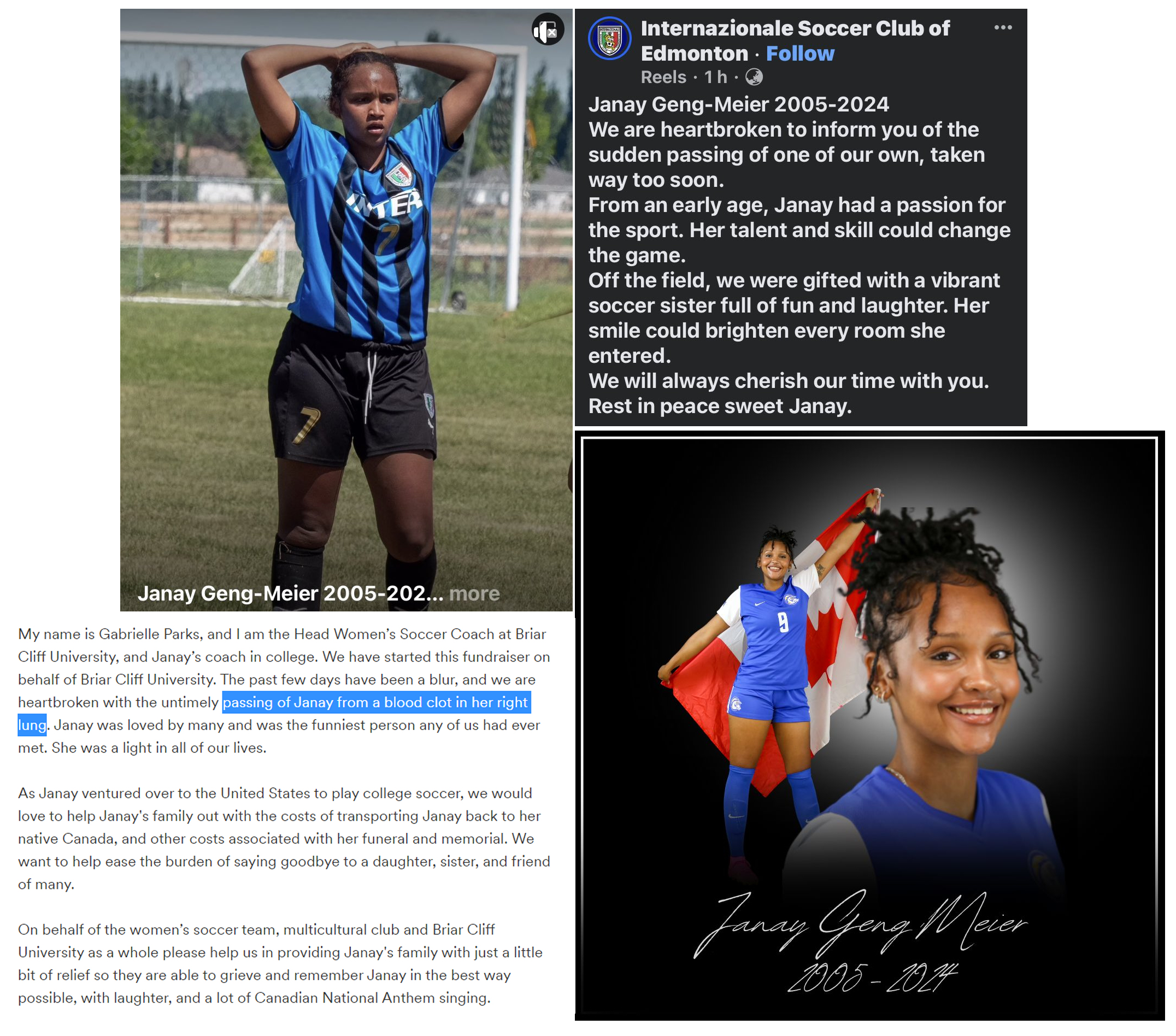 3 Soccer Stars Suffer Heart Attacks, Seizures Mid-Game - News Addicts