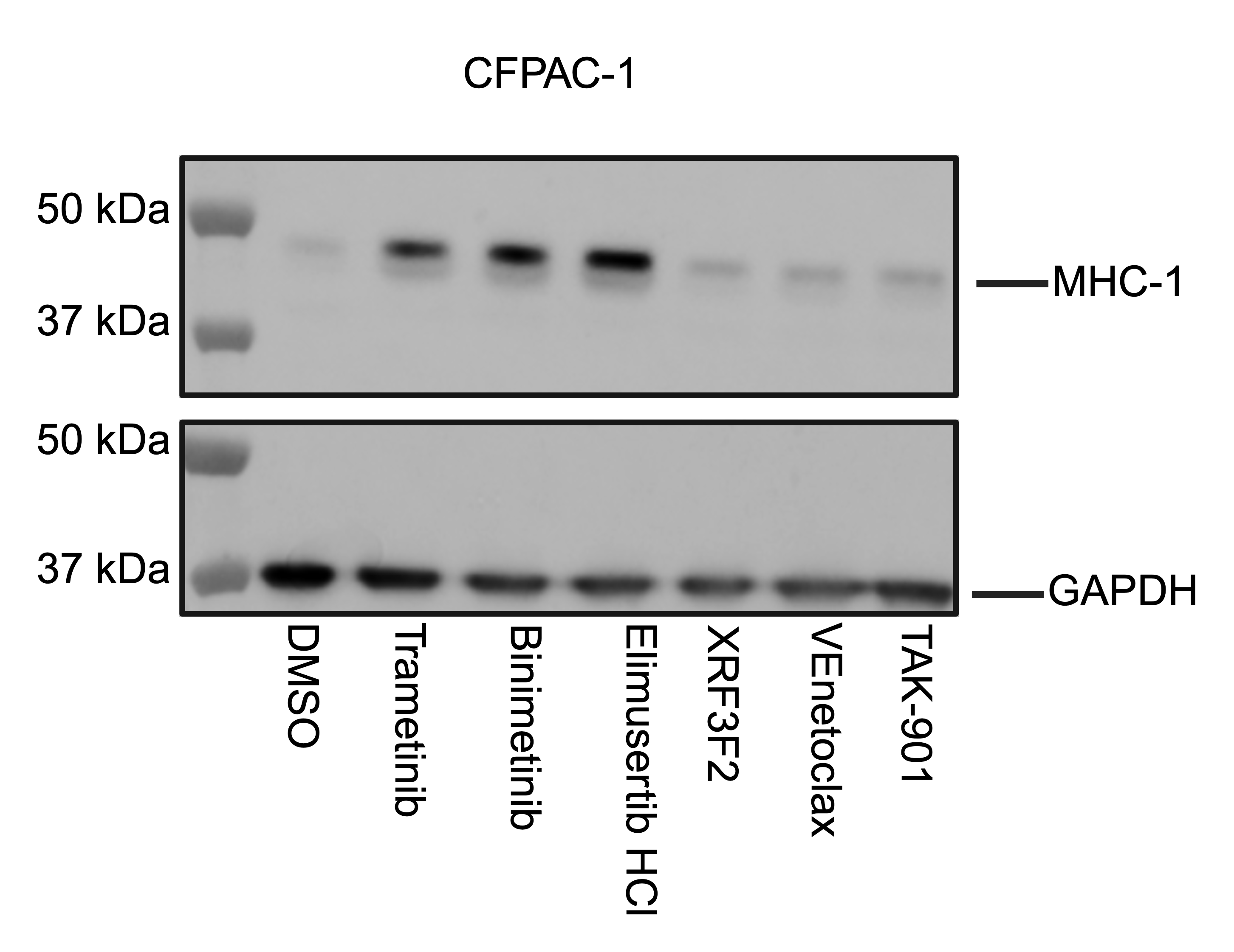 Using Tahoe-100M to find new immunomodulators