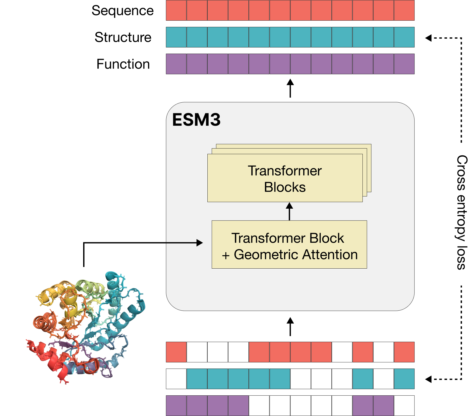 ESM3 and the Future of Protein Language Models
