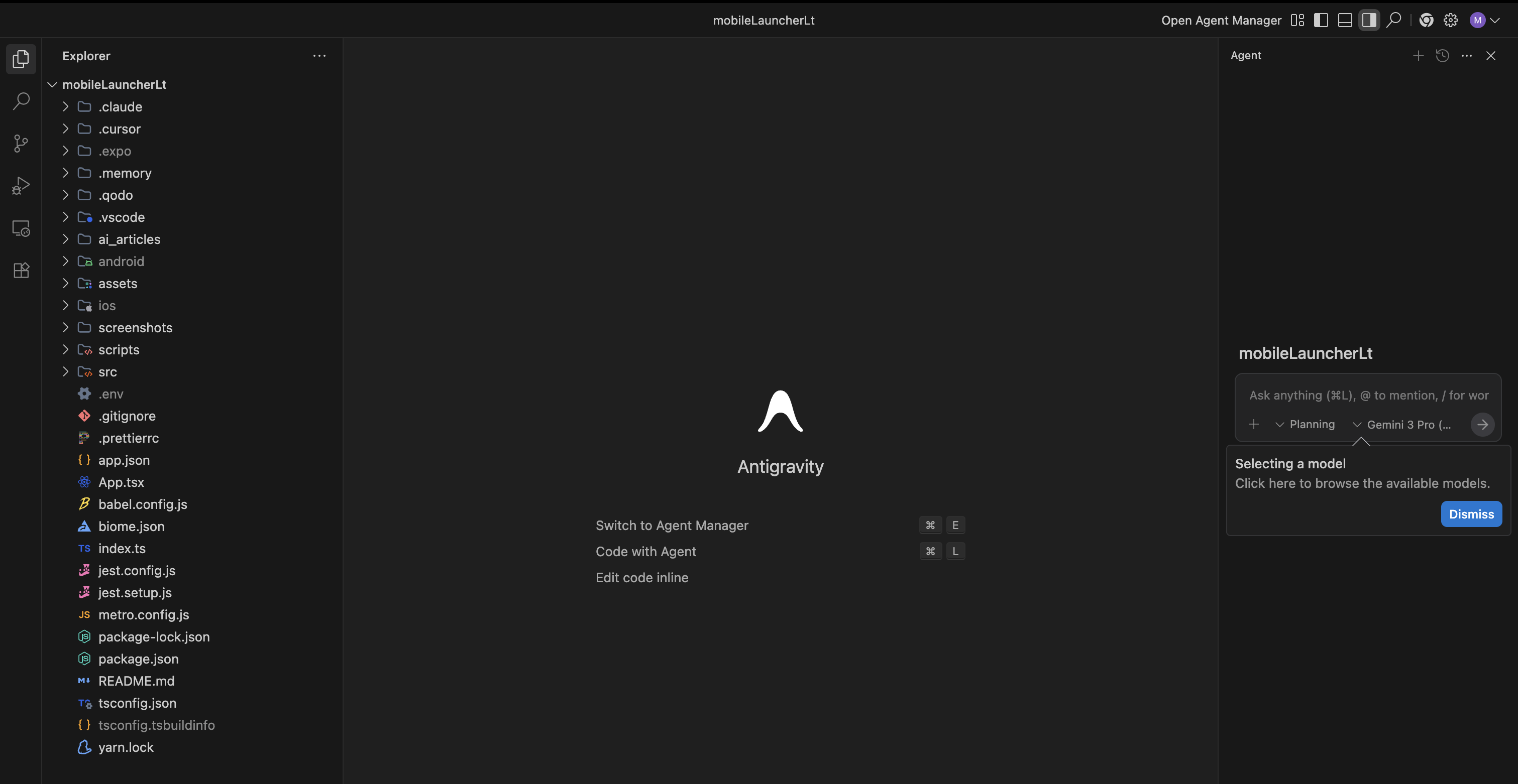 AntiGravity: Full guide from install to Custom rules, workflows and MCP ...