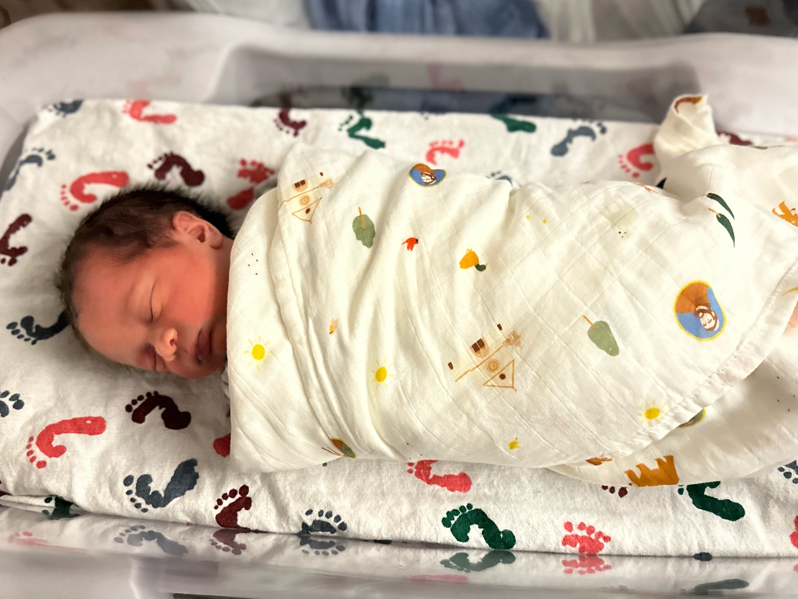 A Celebration - Christopher F. Rufo