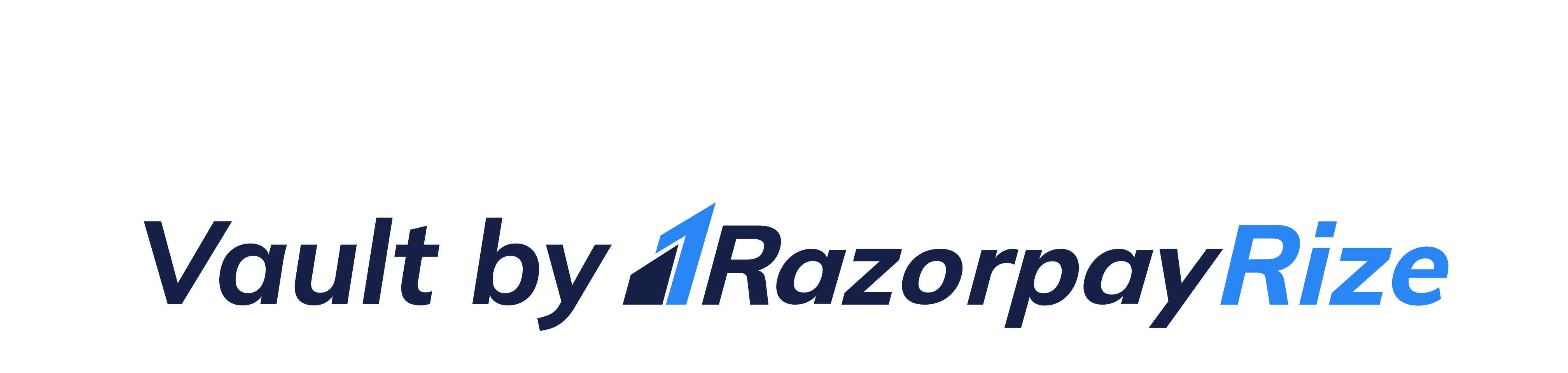 🚀 About Razorpay Rize 🚀 - Vault by Razorpay Rize