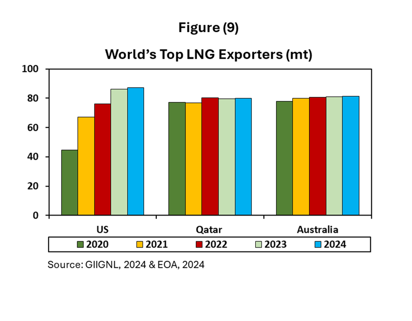 A Review of the Global LNG Market in 2024 and 2025 Outlook