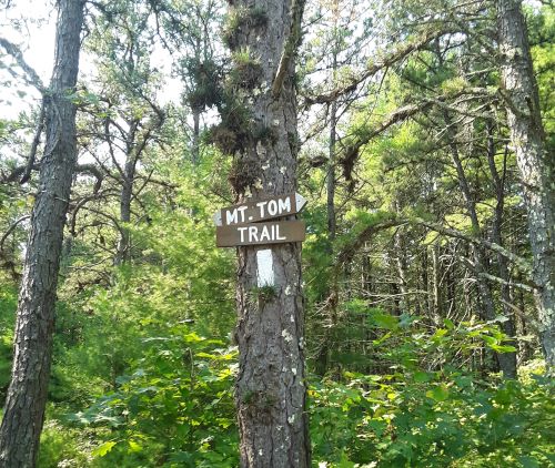 Hiking Arcadia Management Area in Rhode Island - by Sharon