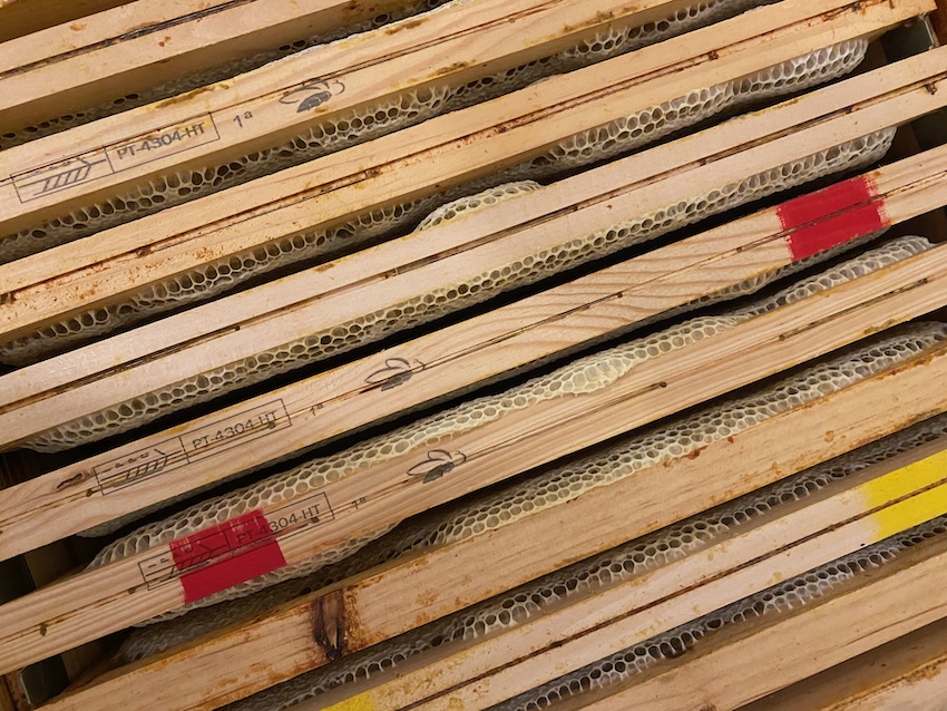 Techniques de récolte du miel - by Philippe Royer