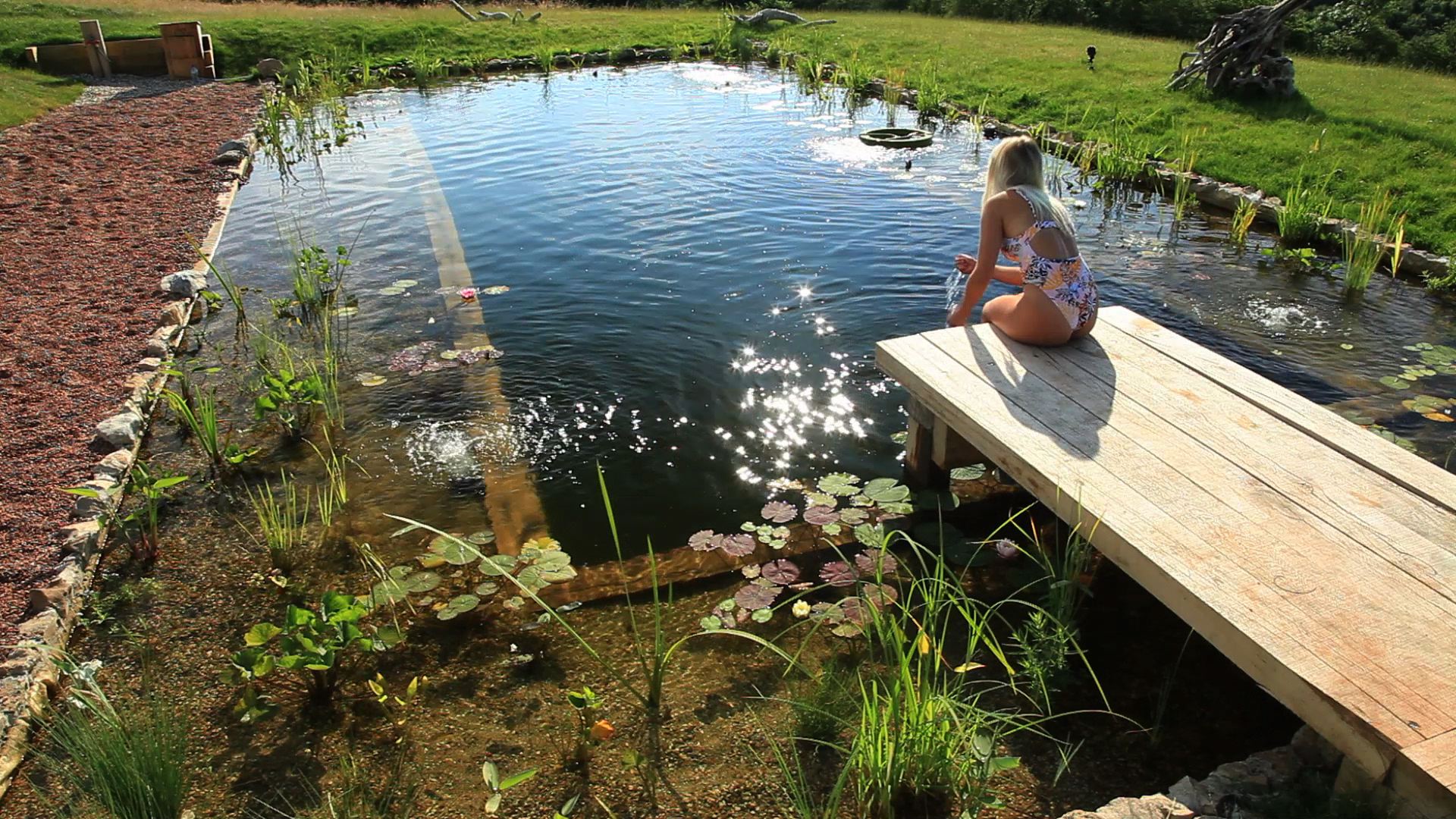 Pool Gallery - Organic Pools by David Pagan Butler