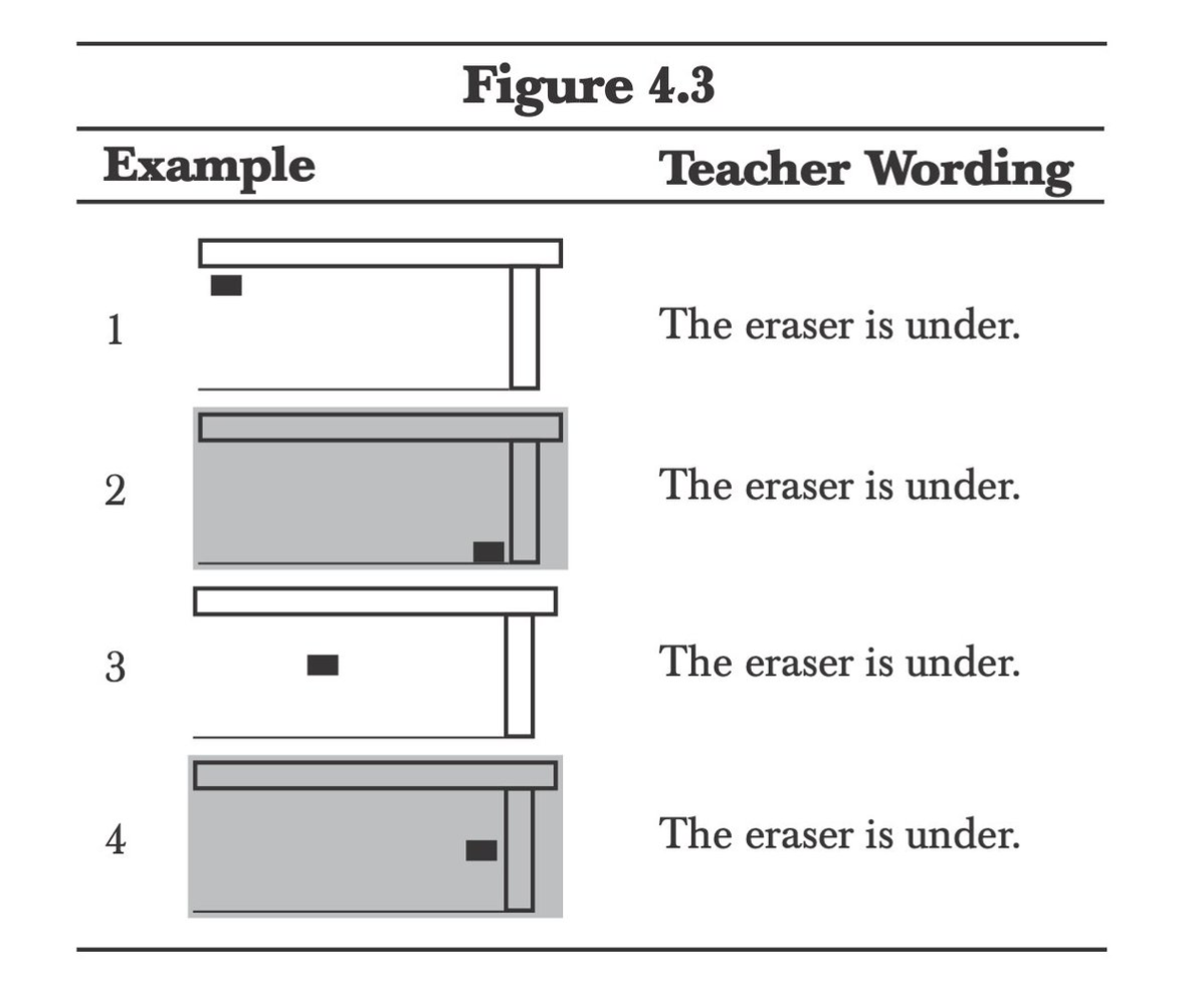 The Power of Examples and Non-Examples - by Carl Hendrick
