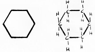 Cholesterol's Hydrocarbon Rings - by Chris Masterjohn, PhD
