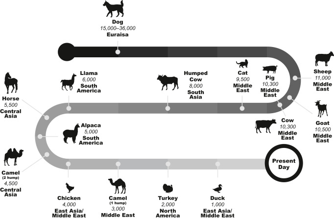 The Evolution of Human Diet Since the Origin of Genus Homo