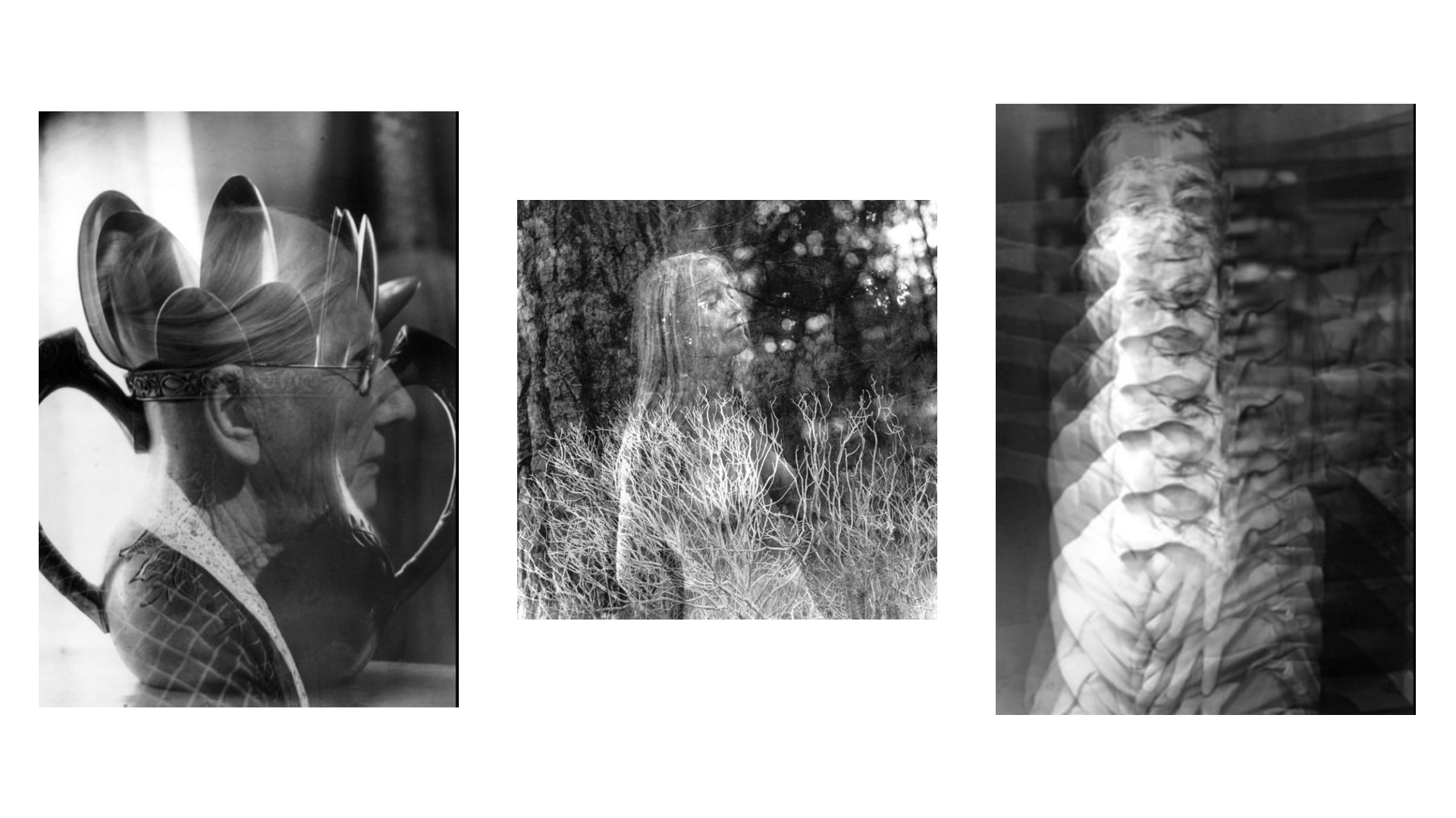 Imogen Cunningham - by Susanne Helmert - My Morning Muse