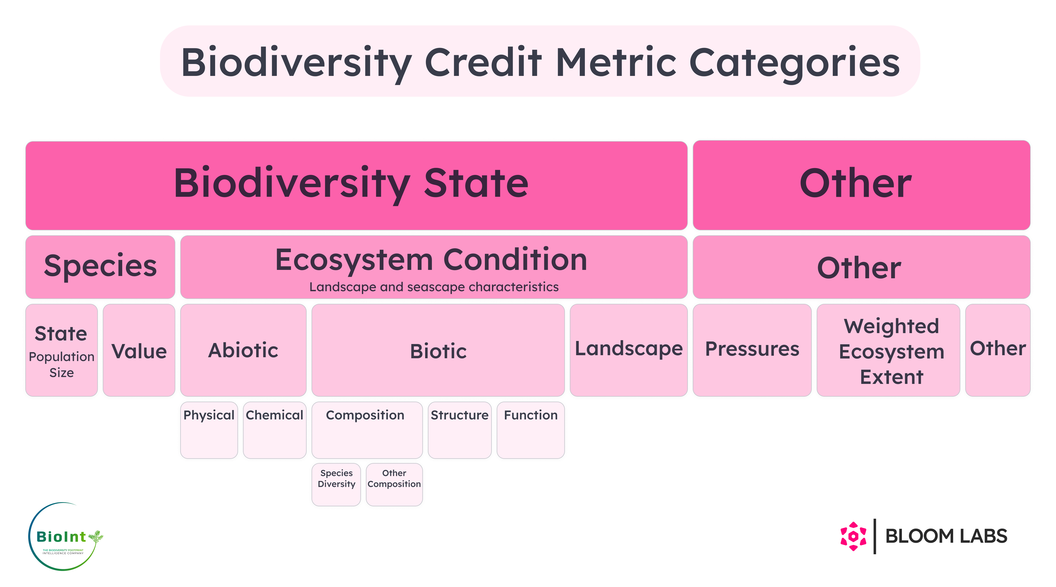Biodiversity Credit Calculation Overview: Version 2