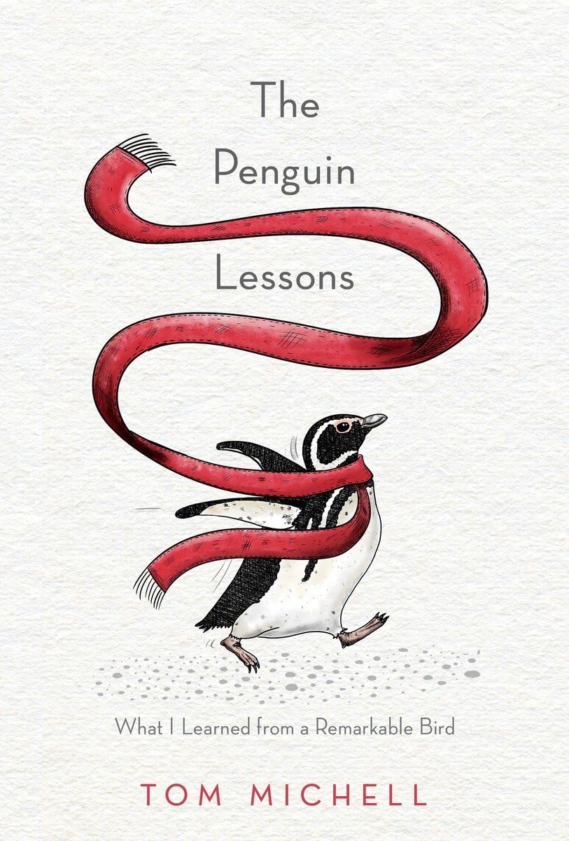 "The Penguin Lessons" Trailer: Steve Coogan Befriends a Rescued Penguin ...