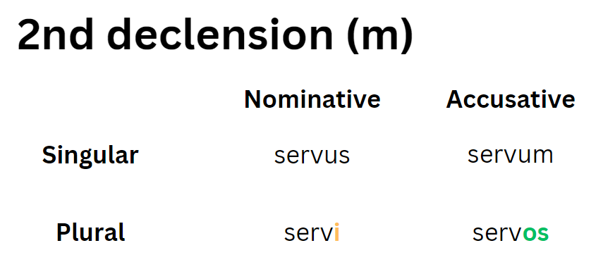 Easy Latin Part 8: Plural Latin Nouns - by Ellen
