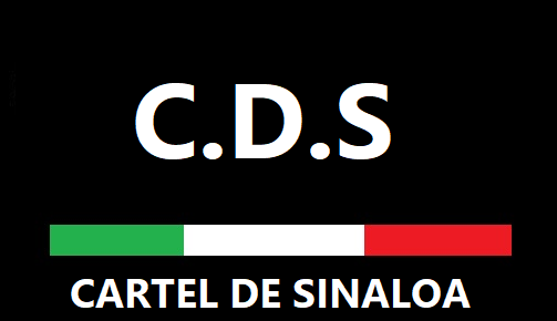 Principais Cartéis Mexicanos: Guerra das Drogas e Negócios