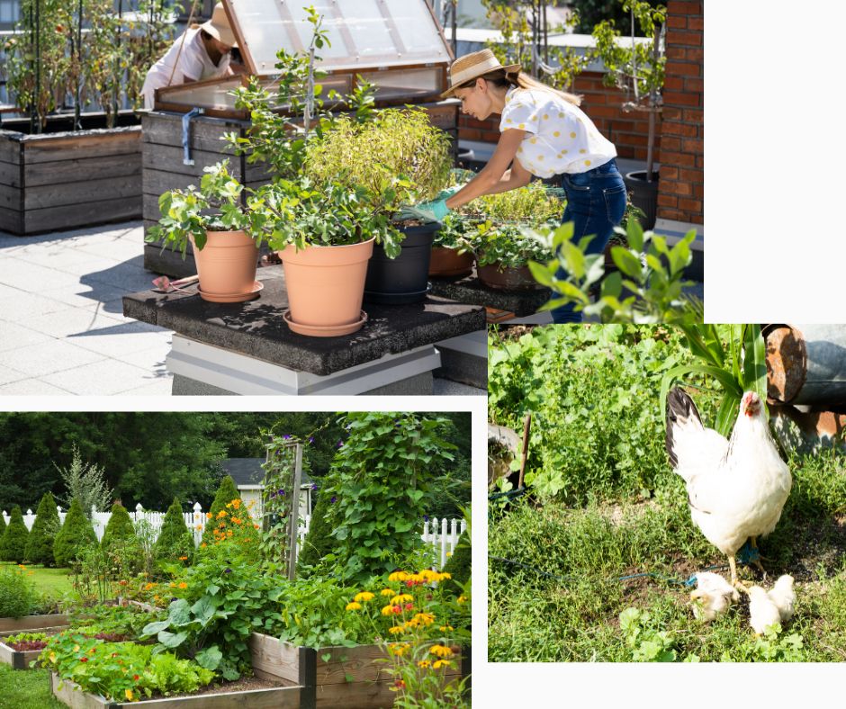 Industrial Food vs Ecological Food – The War is On?