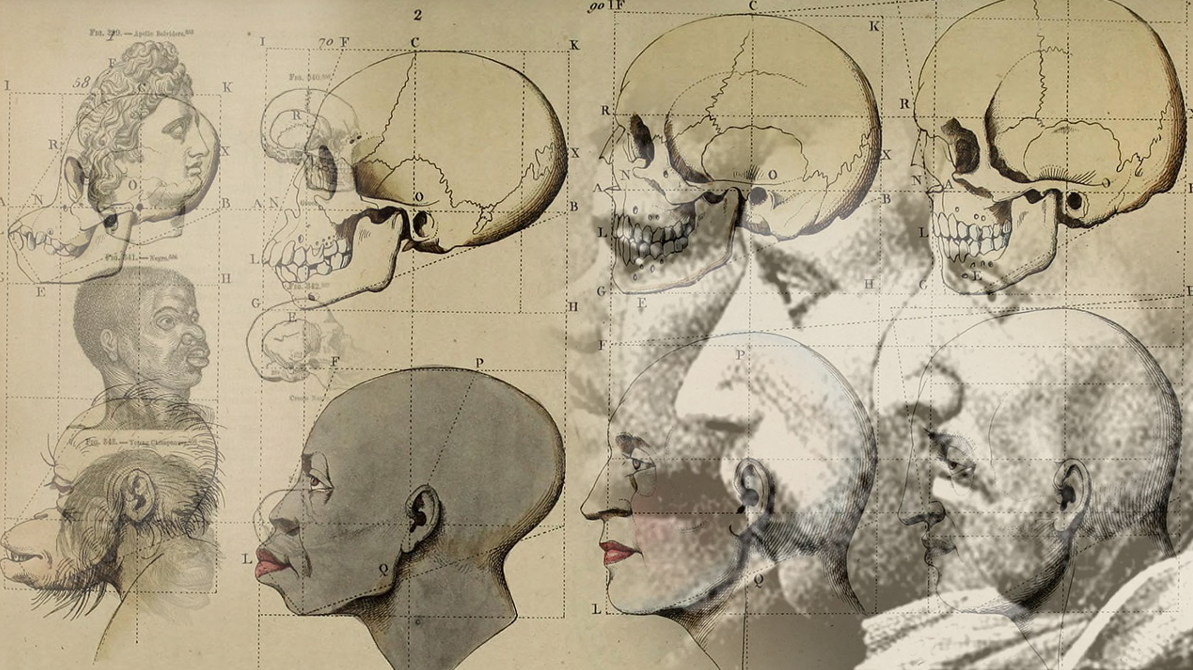 Race Realism: Refuting the World's Most Divisive Lie