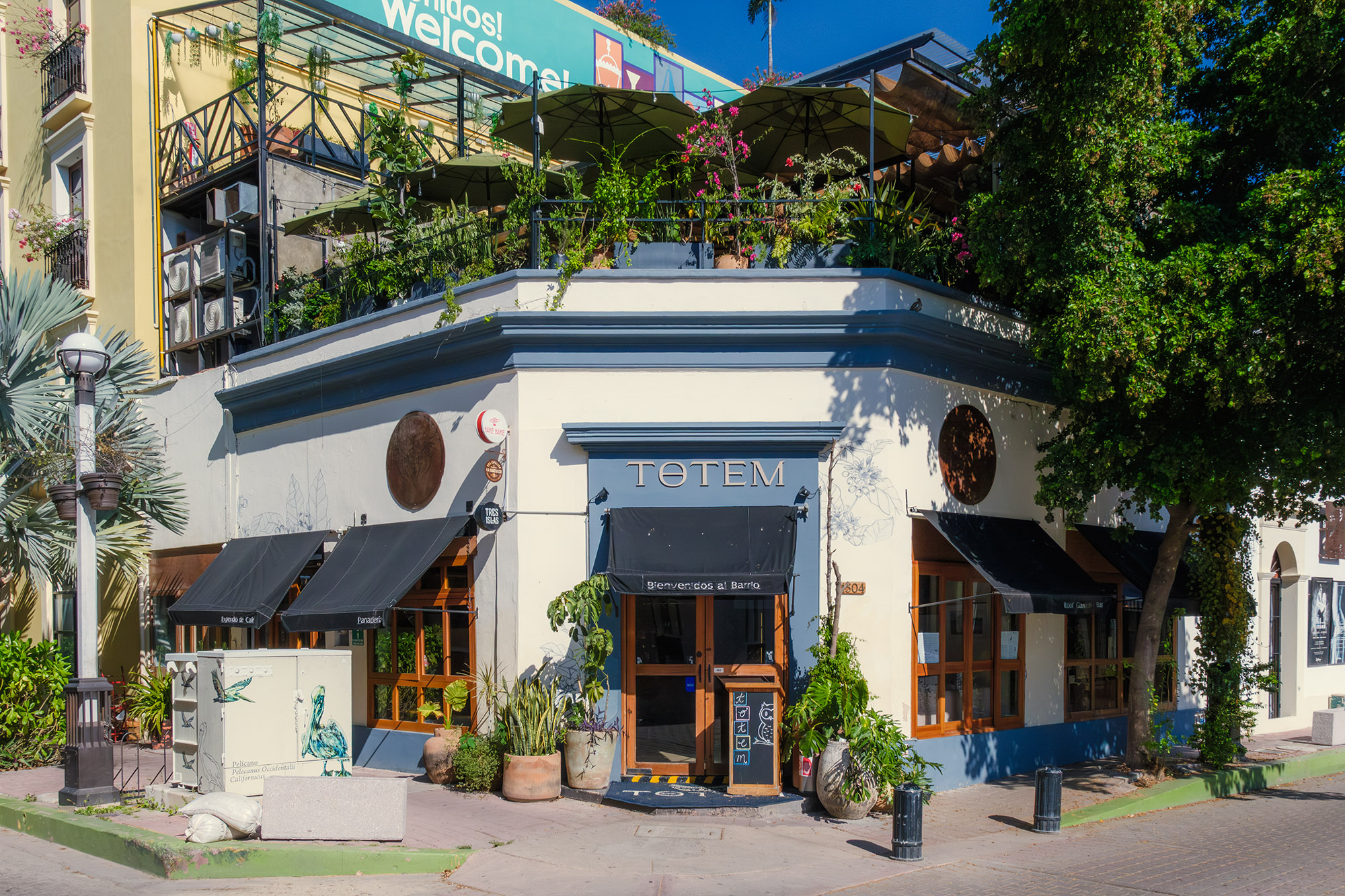 Colorado Springs Food News: Totem, Mexican, Doki Doki, baker