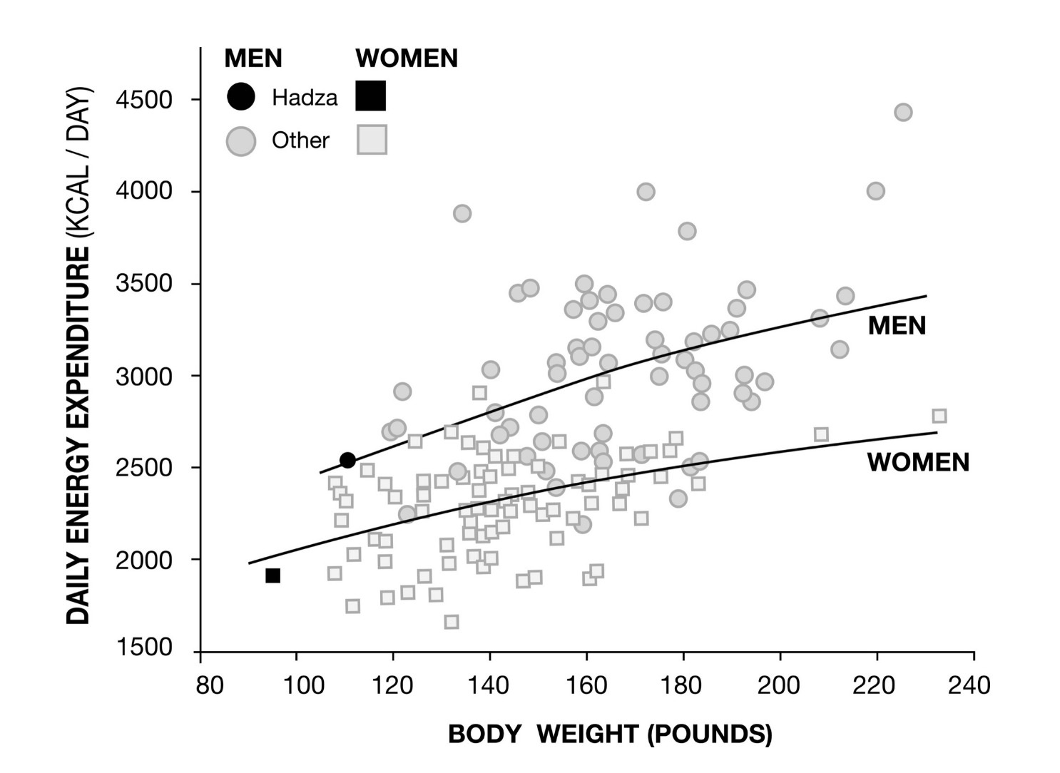 REVIEW: Burn, by Herman Pontzer - by Jane Psmith