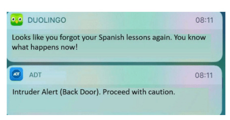 Breaking Down Duolingo's Growth Model: How they Achieved 450% User Growth